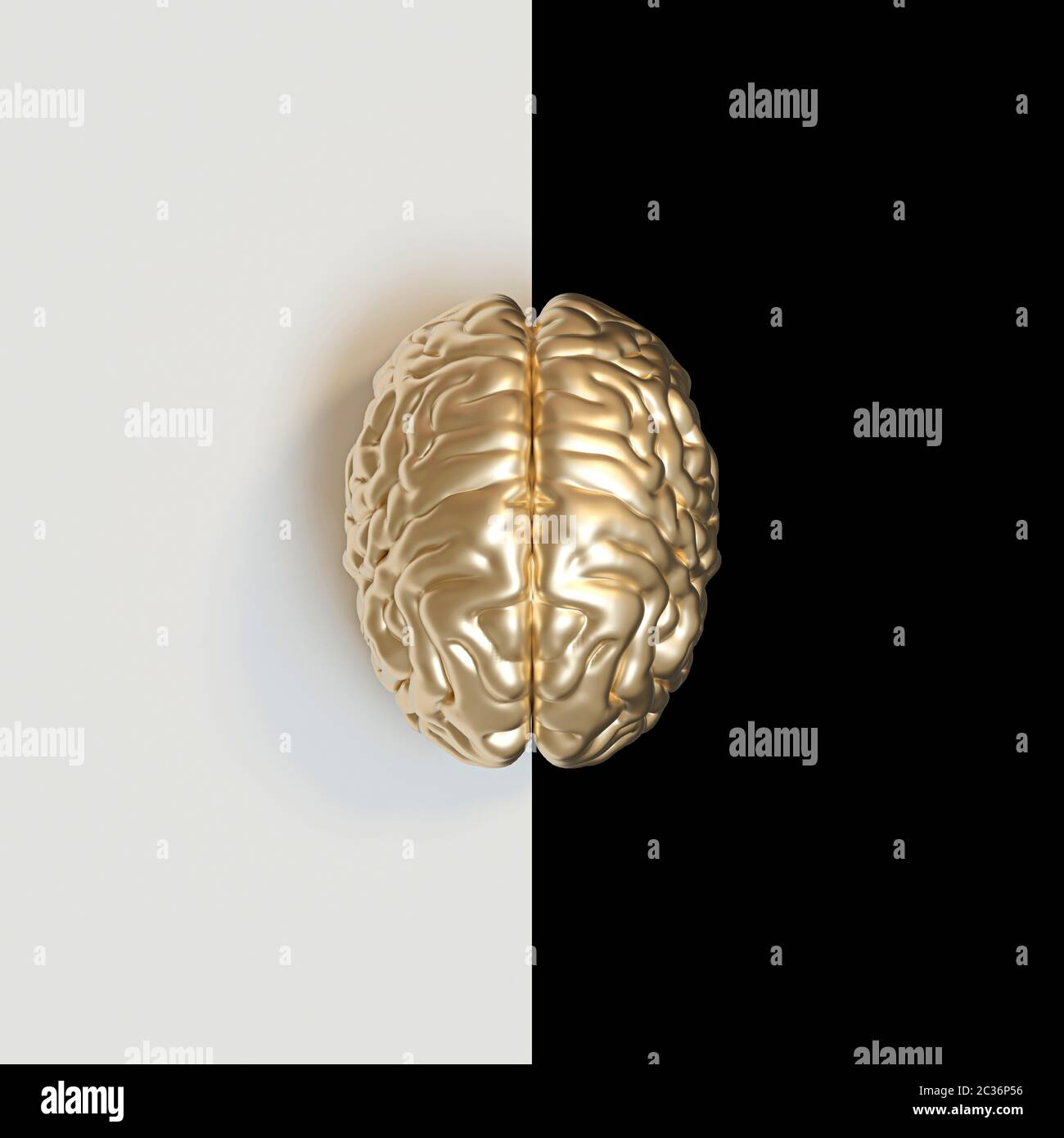3d render image of a gold-colored human brain on a white and black ...