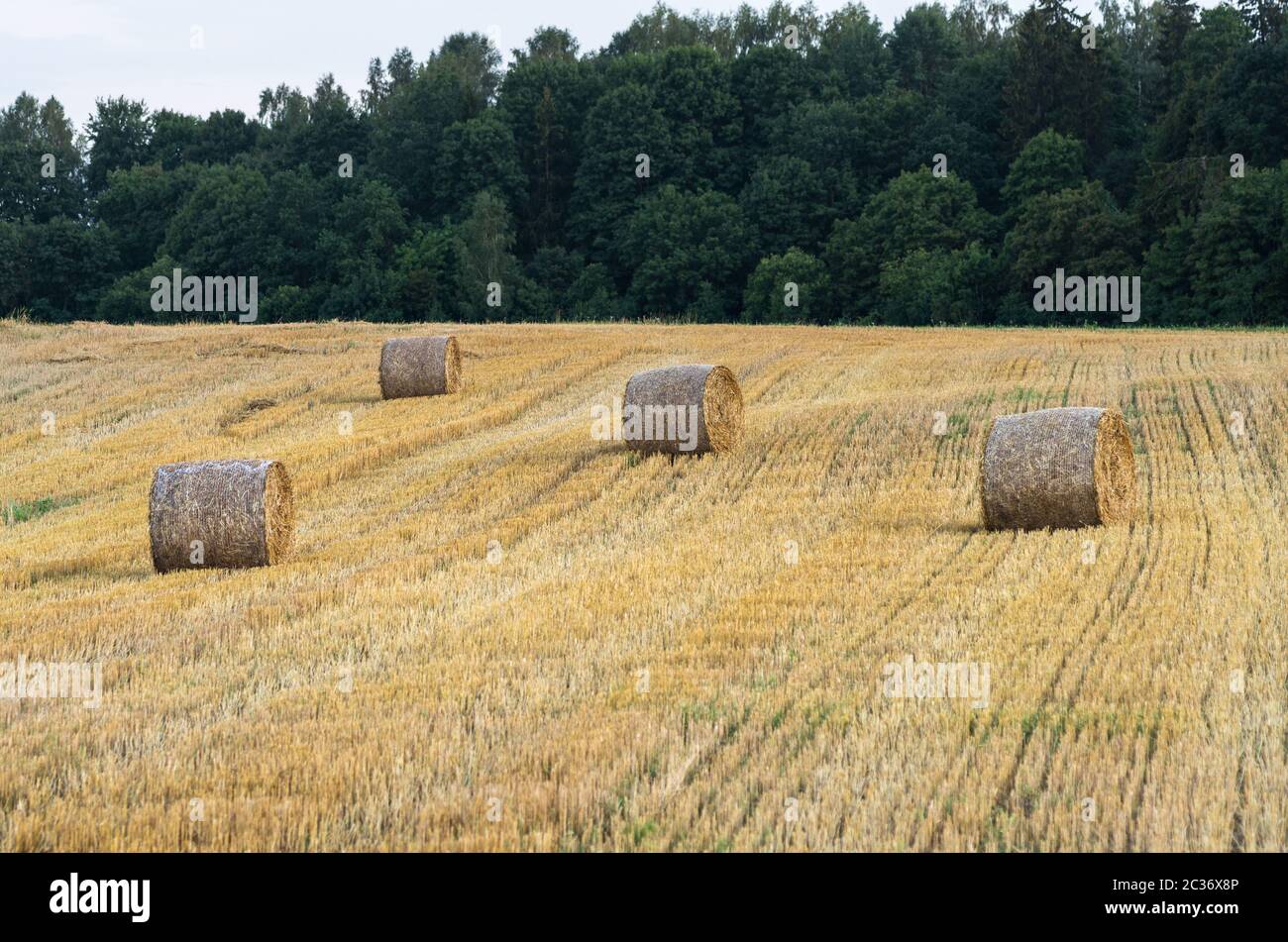 Several bales hi-res stock photography and images - Alamy