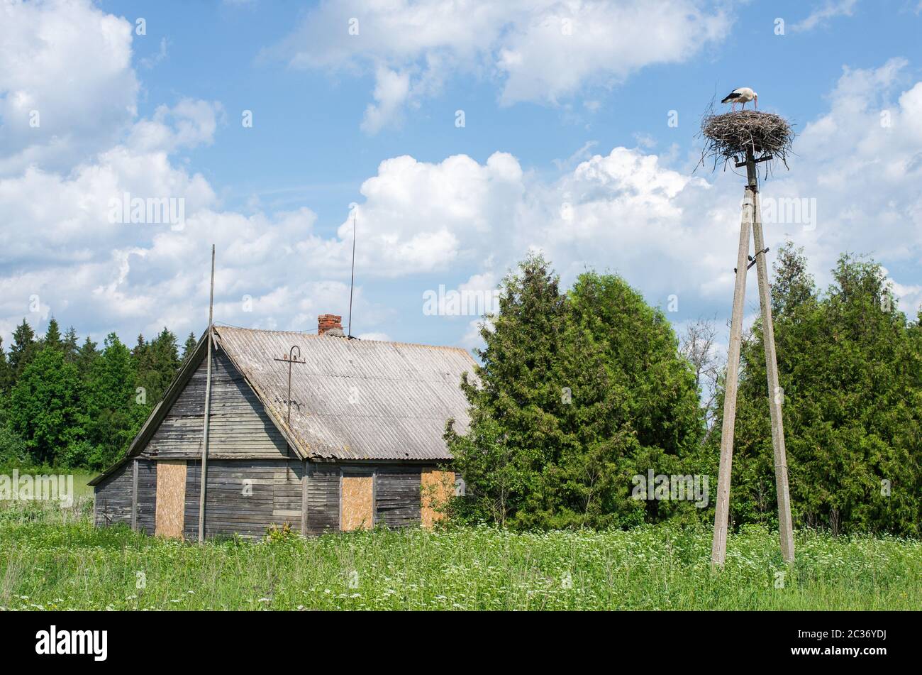 An old abandoned barn in rural depths Stock Photo - Alamy