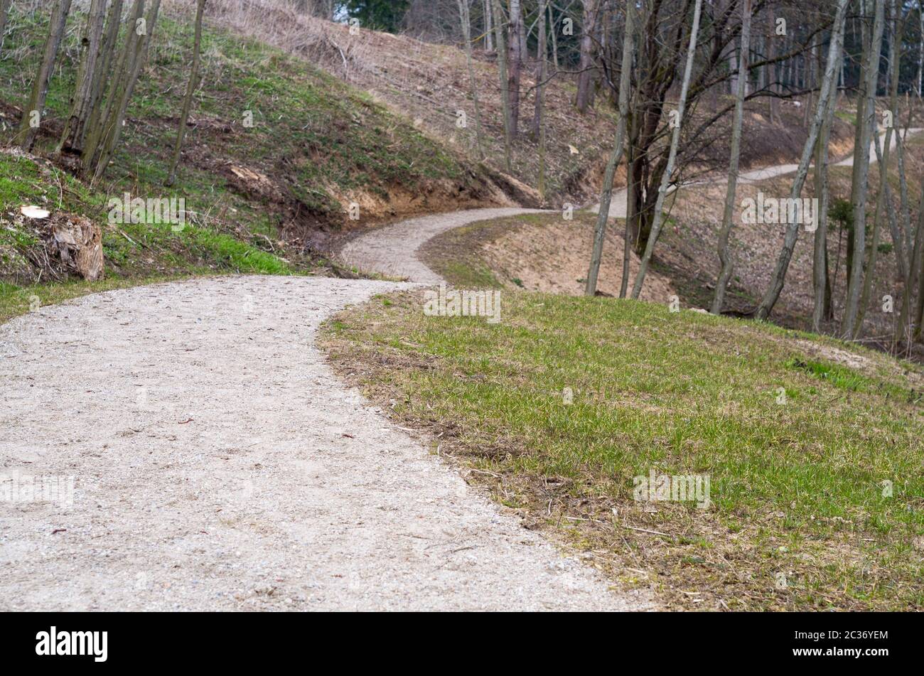 Forest pathway in early spring. In Lithuania Stock Photo - Alamy
