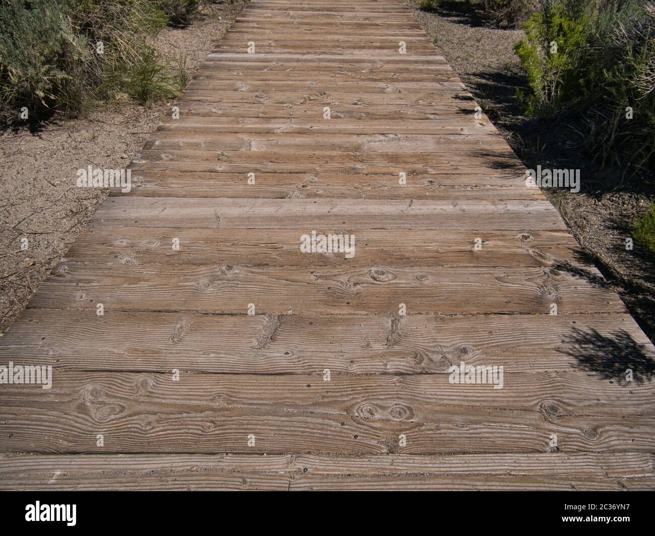 A path with old wooden beams between small bushes Stock Photo - Alamy