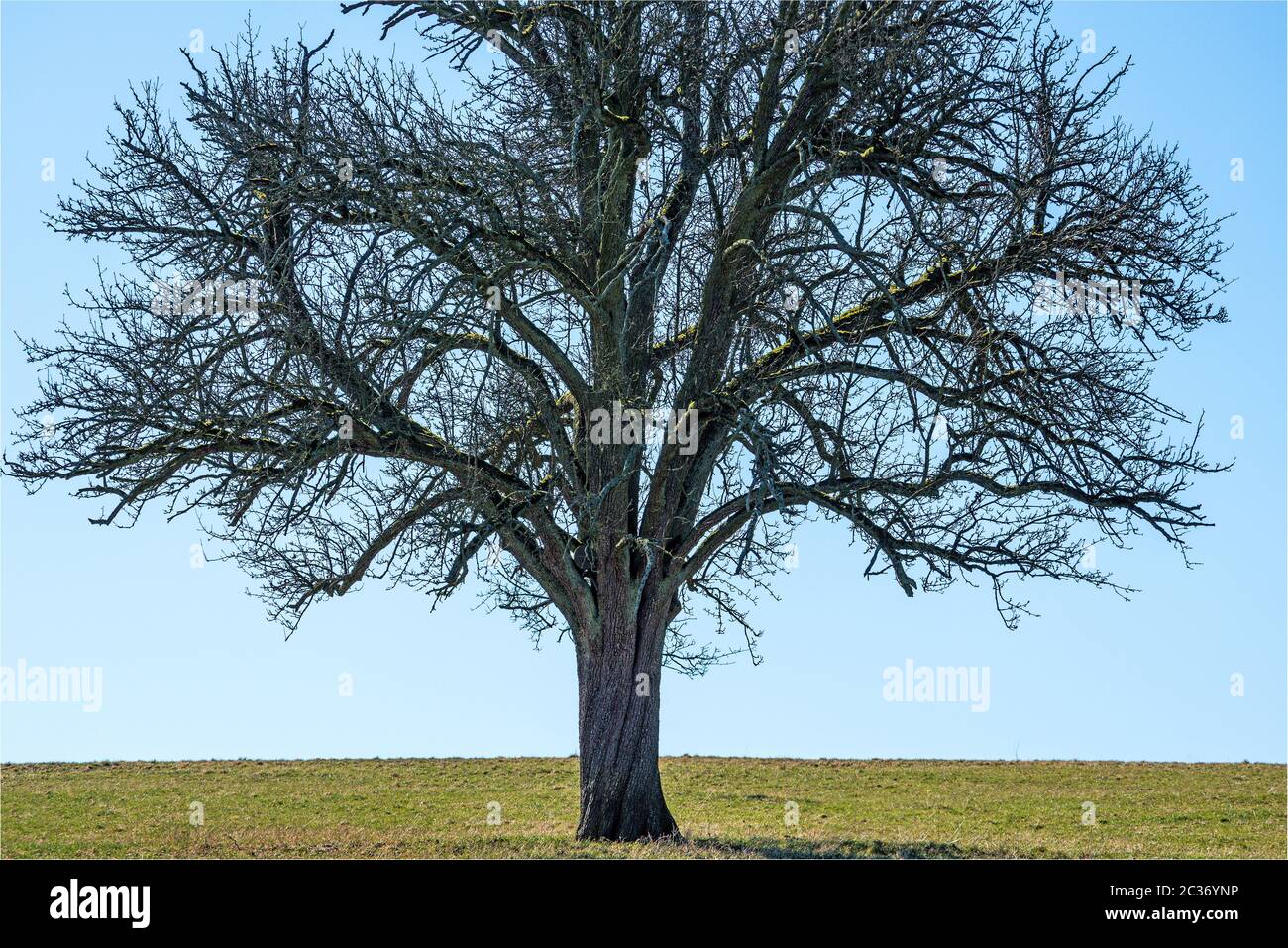 Bald field in spring hi-res stock photography and images - Alamy