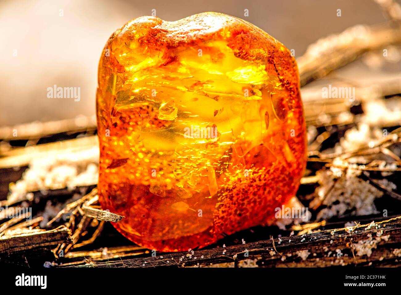 Amber on a beach of the Baltic Sea Stock Photo - Alamy