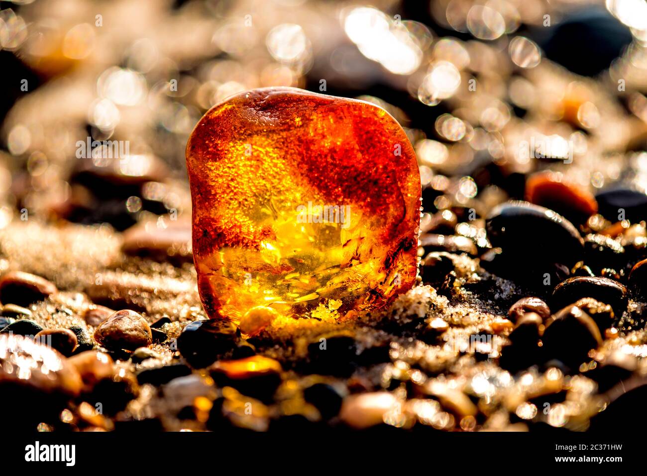 Amber on a beach of the Baltic Sea Stock Photo - Alamy