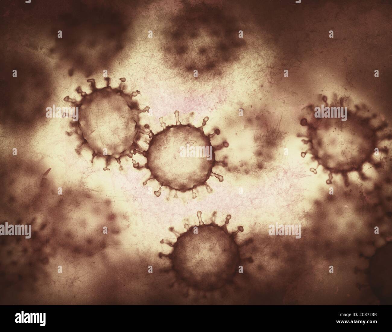 Viral structure. Viral particle is made up of a nucleus of nucleic acid ...