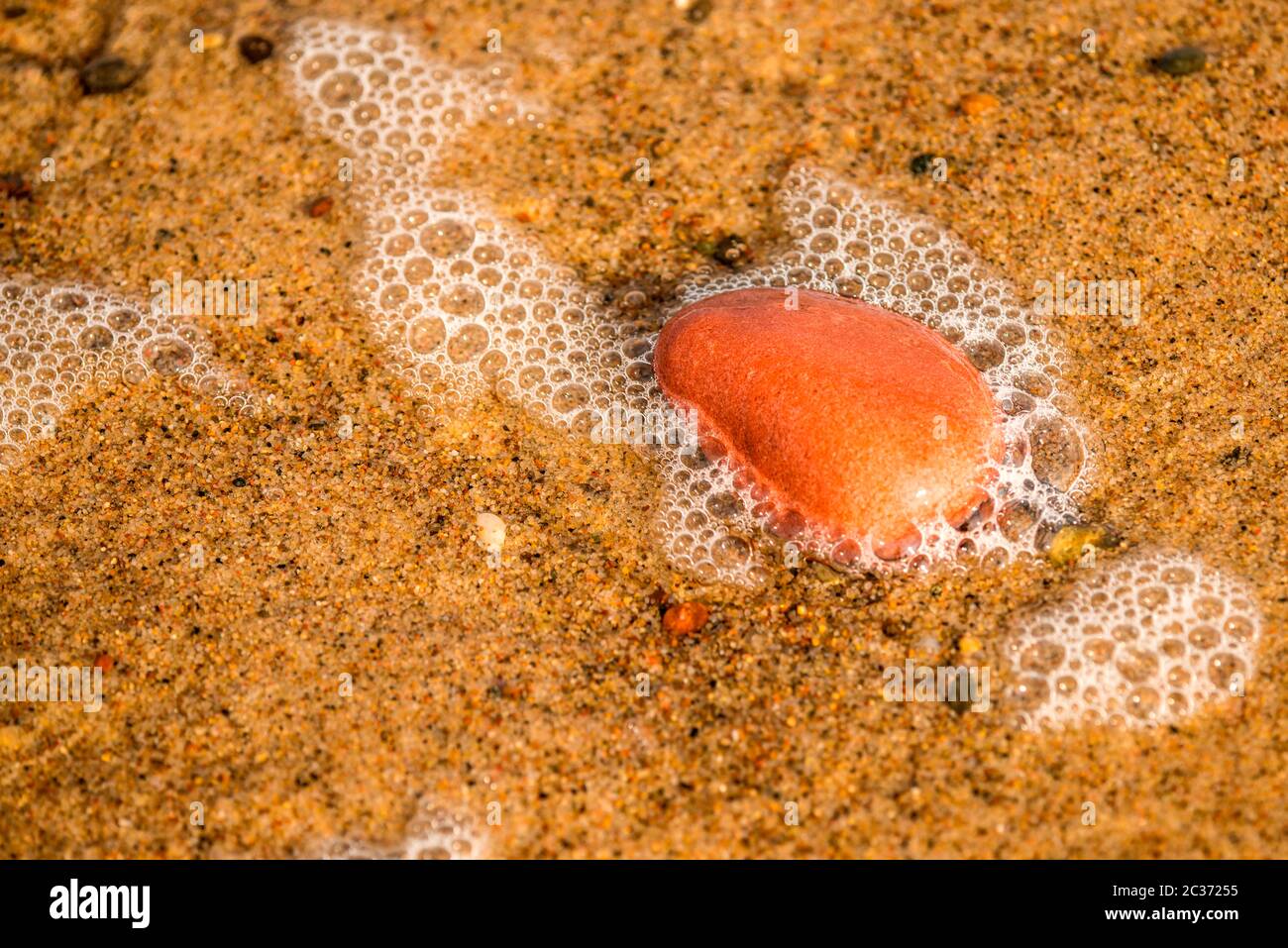 Curve of a pebble beach hi-res stock photography and images - Alamy