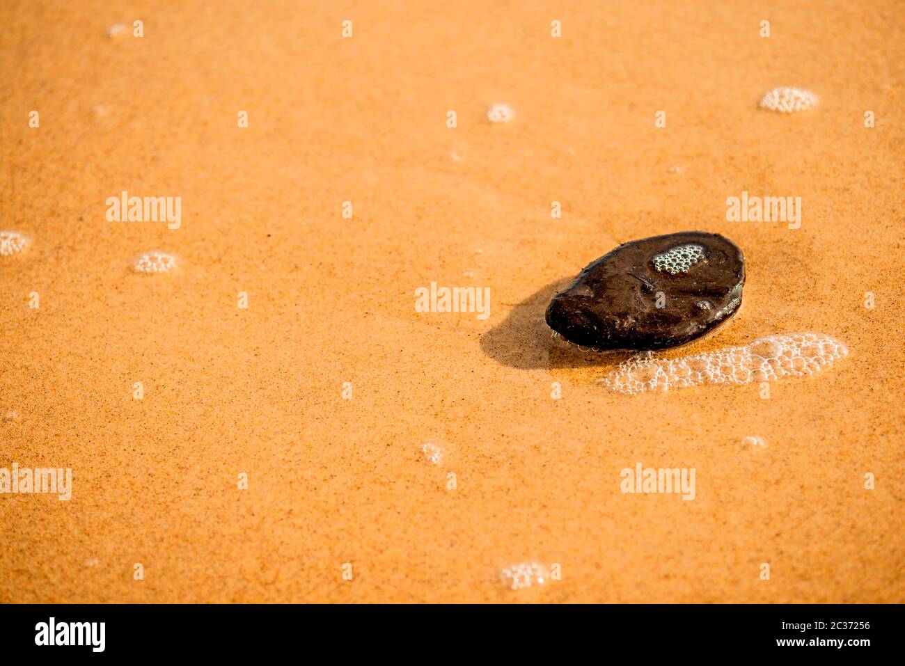 Curve of a pebble beach hi-res stock photography and images - Alamy