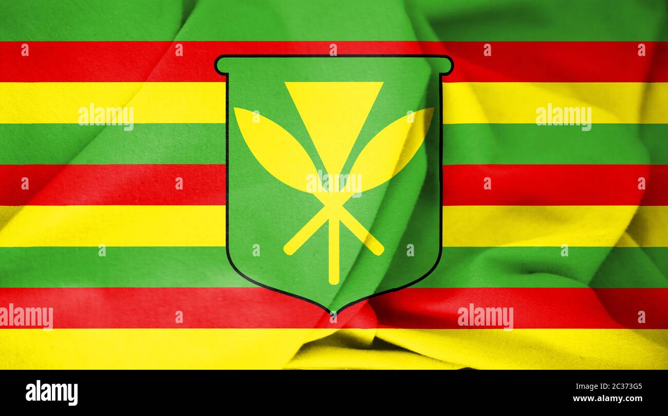 3D Flag of Kanaka Maoli, Hawaii. 3D Illustration Stock Photo - Alamy