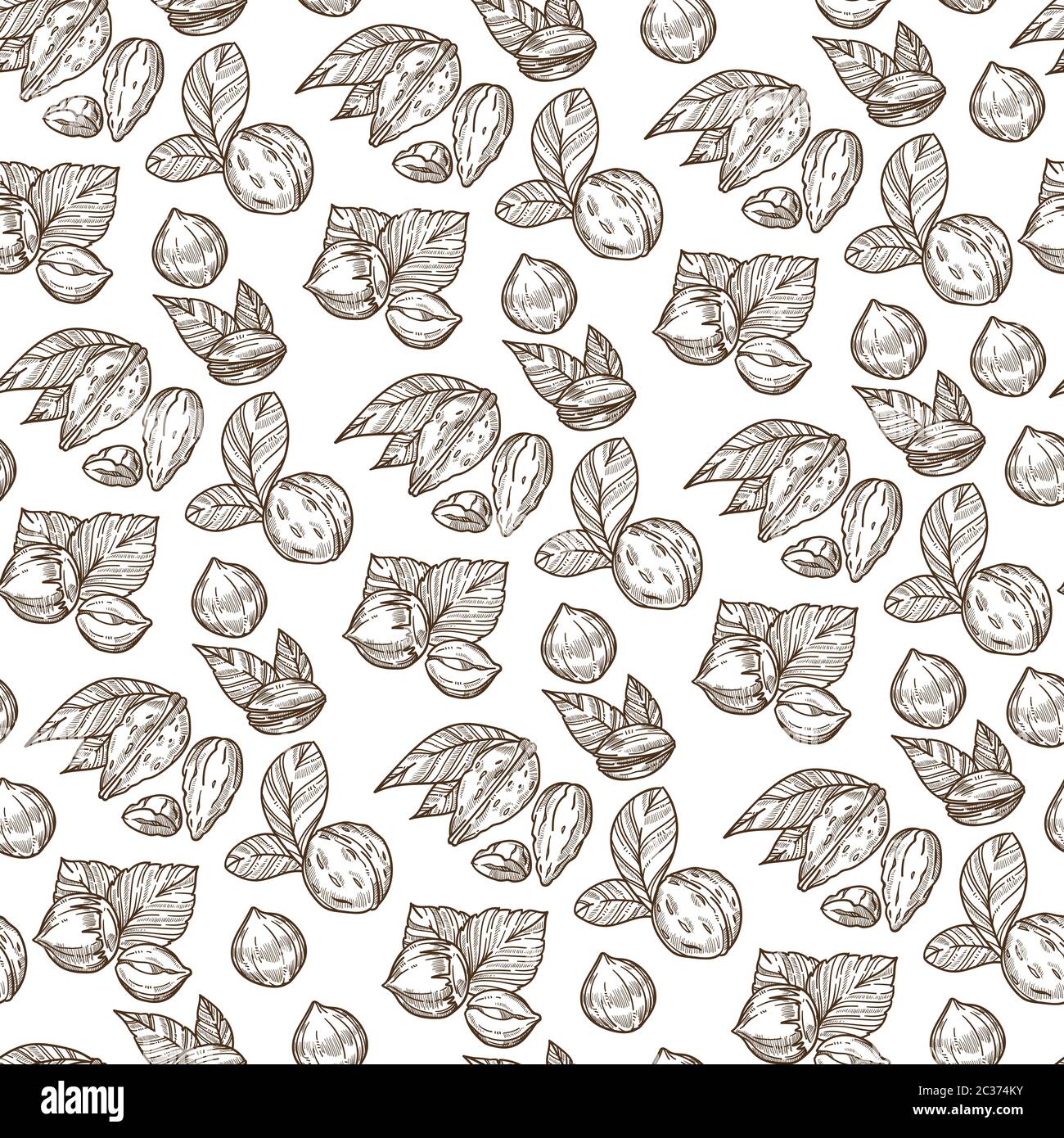 The nutty nut Stock Vector Images - Alamy