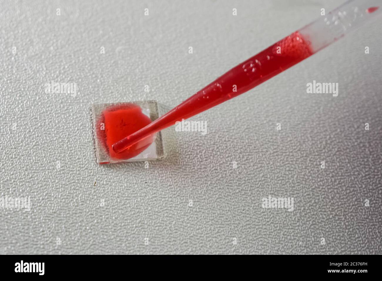 Red liquid in a pipette. capillary phenomena Stock Photo - Alamy