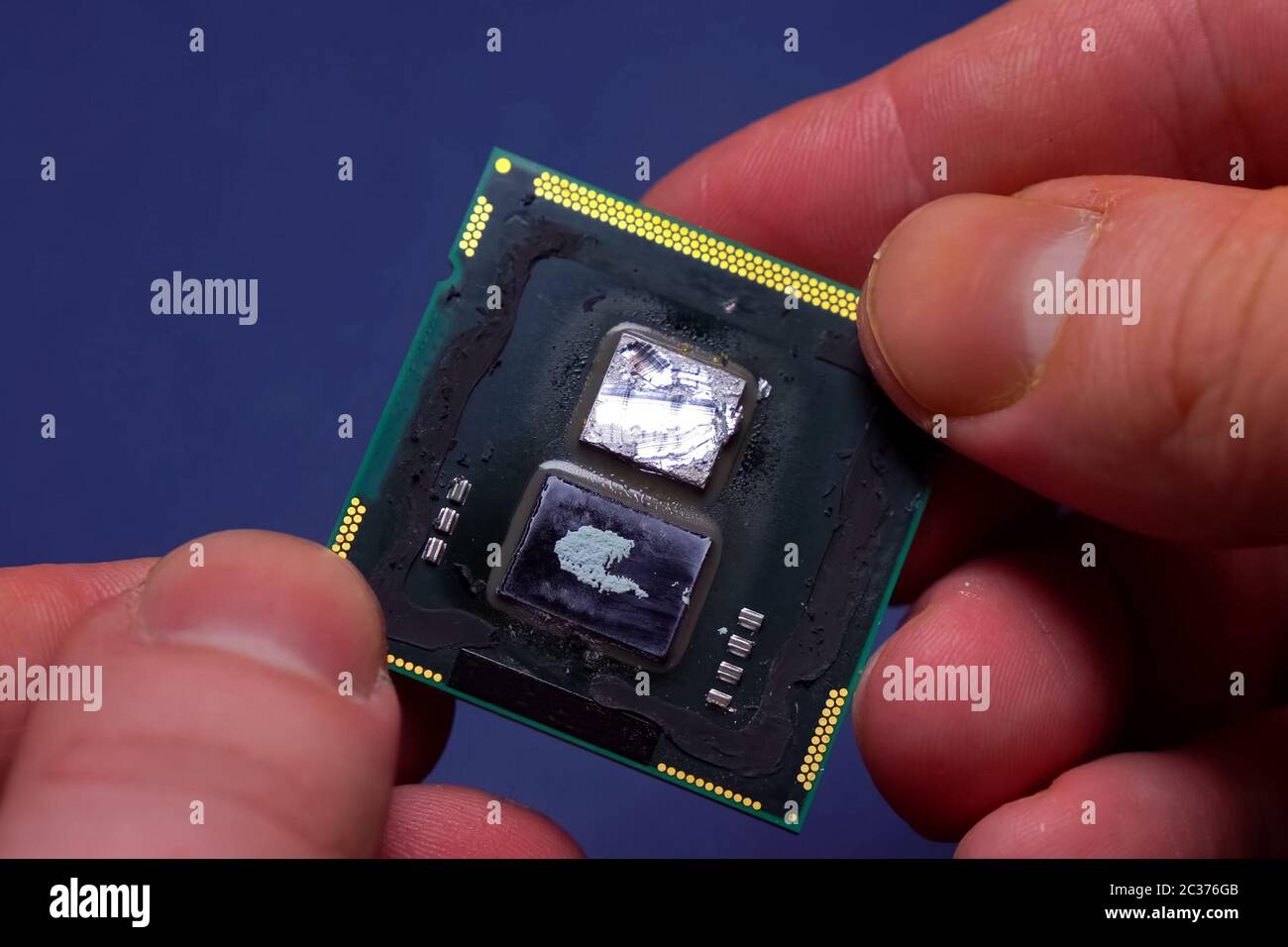 Scalp computer processor. thermally conductive layer replacement Stock ...