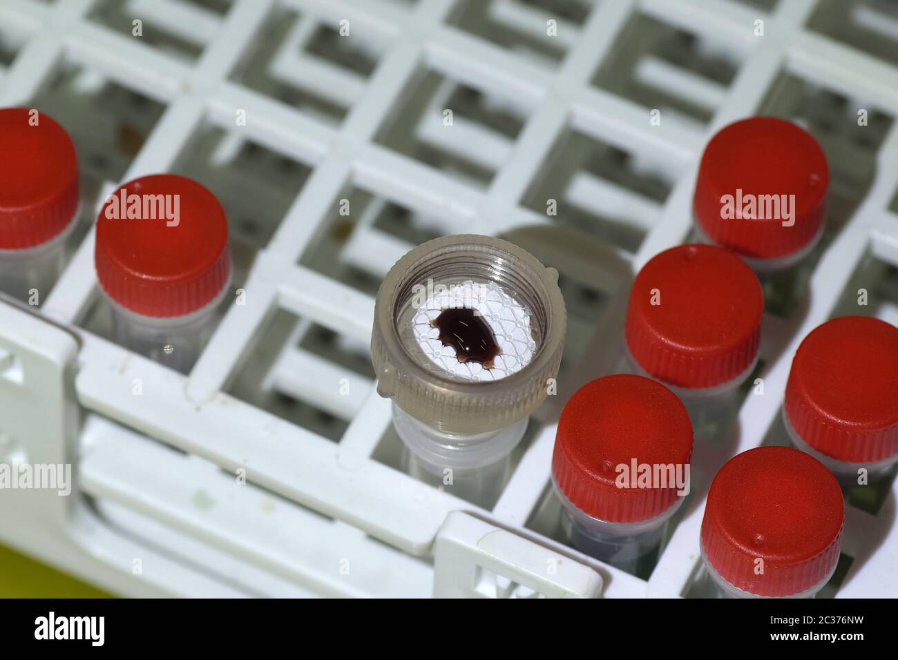 Open glass tubes hi-res stock photography and images - Alamy