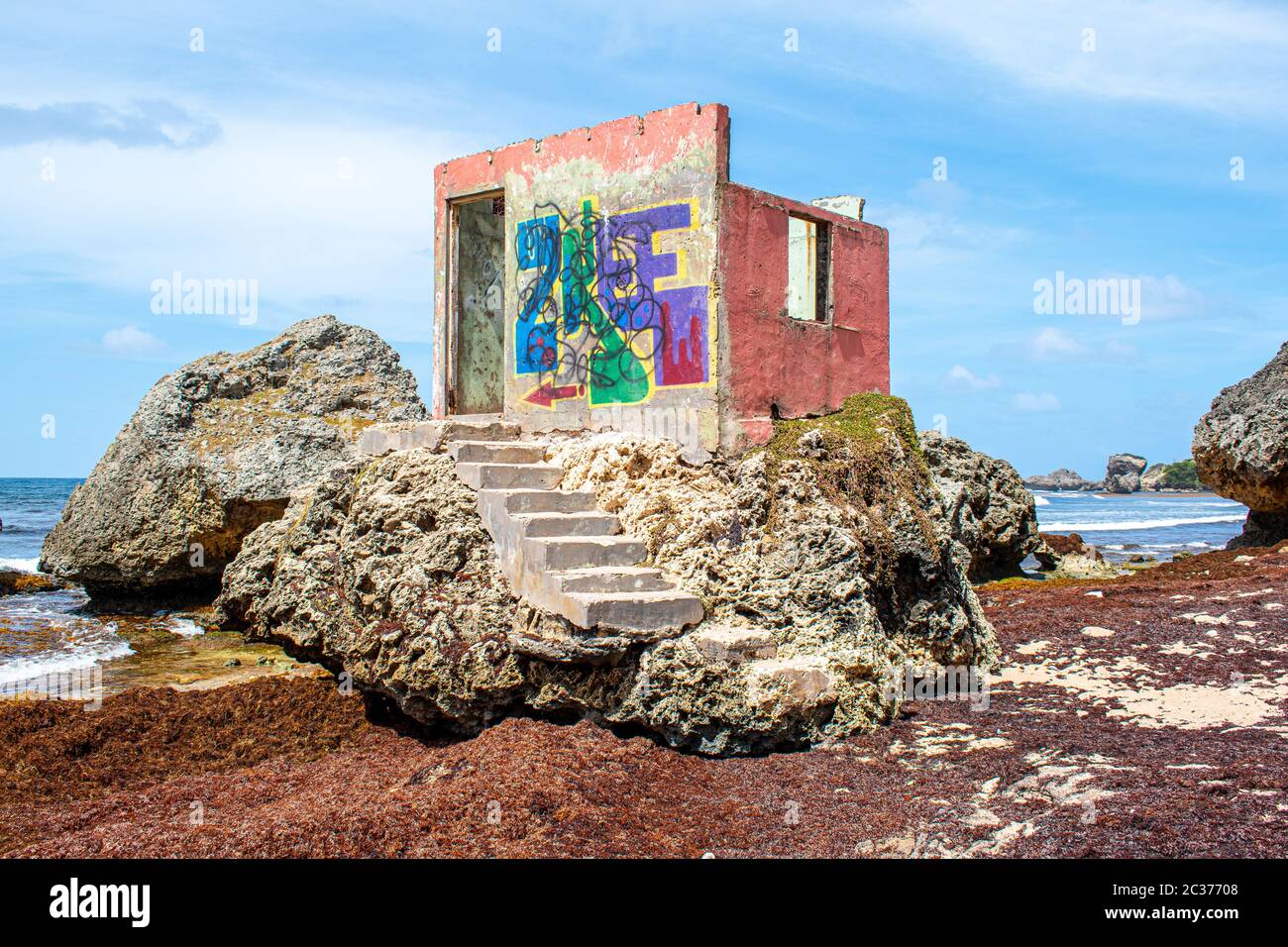 This is the rugged east coast of Barbados, where visitors come to ...