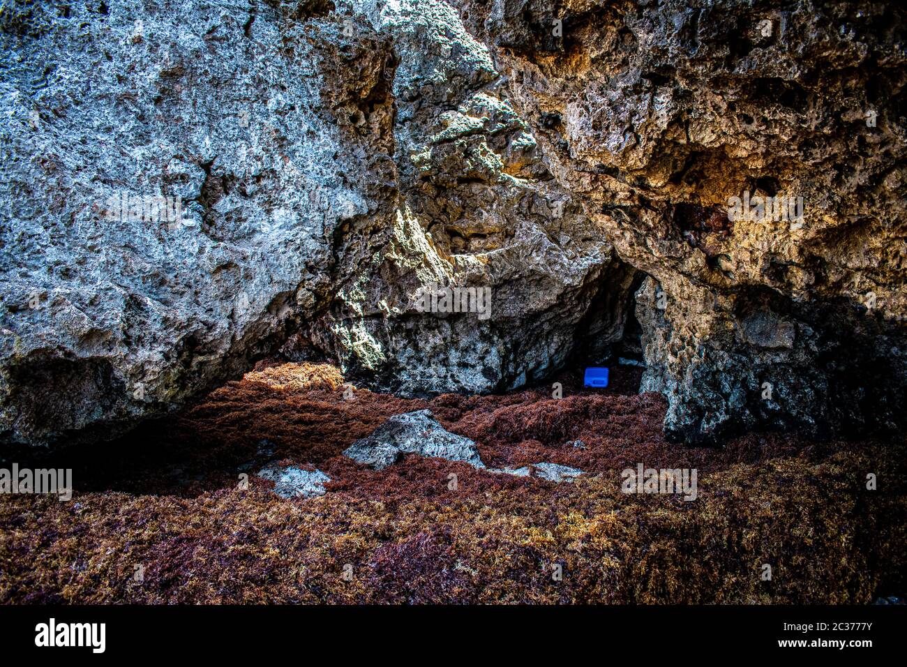 Bathsheba beach pools hi-res stock photography and images - Alamy