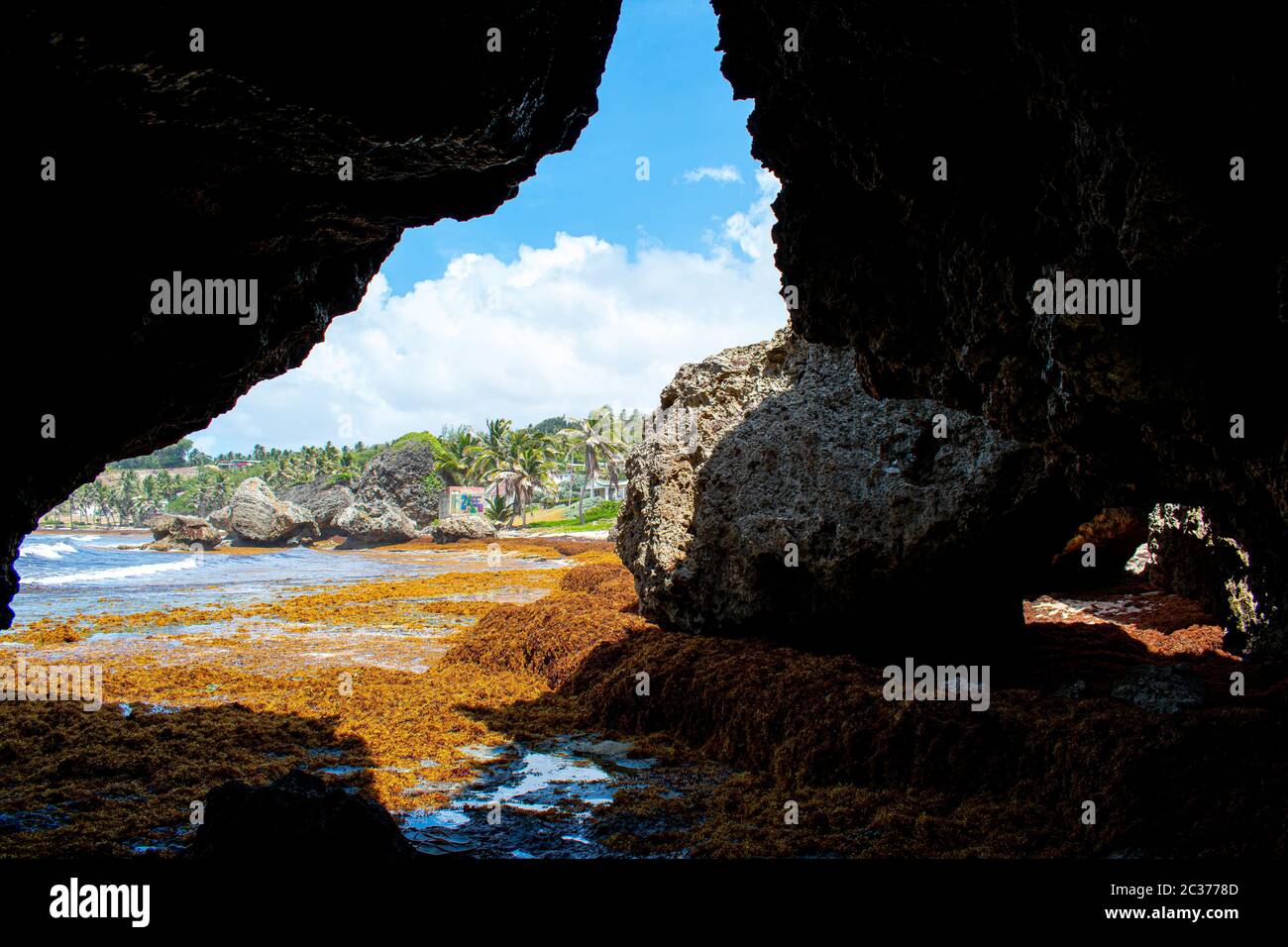 Barbados beach bathsheba pools hi-res stock photography and images - Alamy