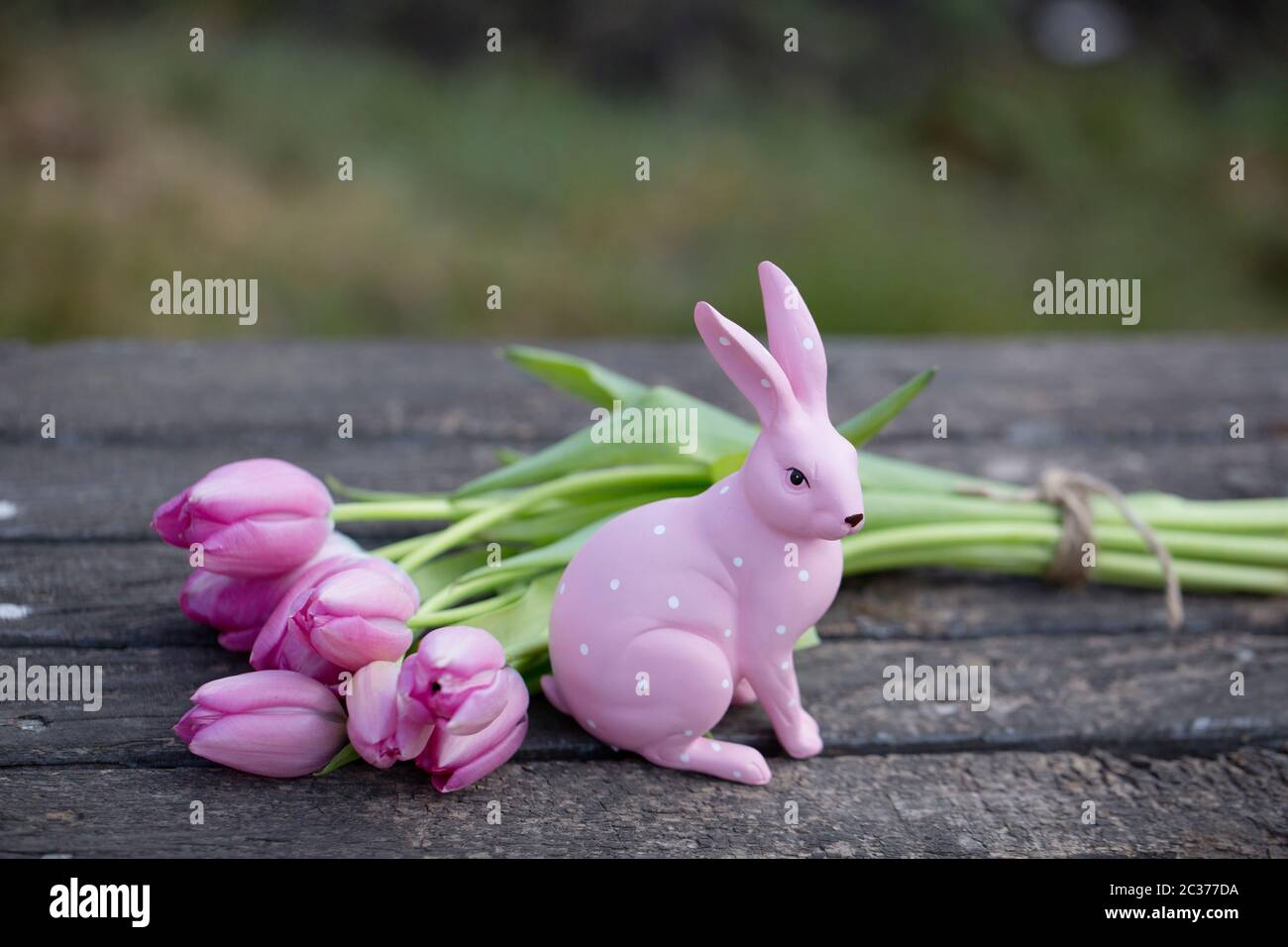 fresh pink tulip flowers and pink easter bunny on a distressed wooden ...