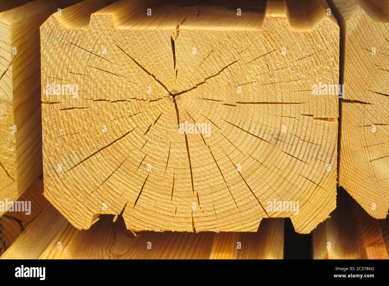 Pine log cut. Rings of wood. Wood construction Stock Photo - Alamy