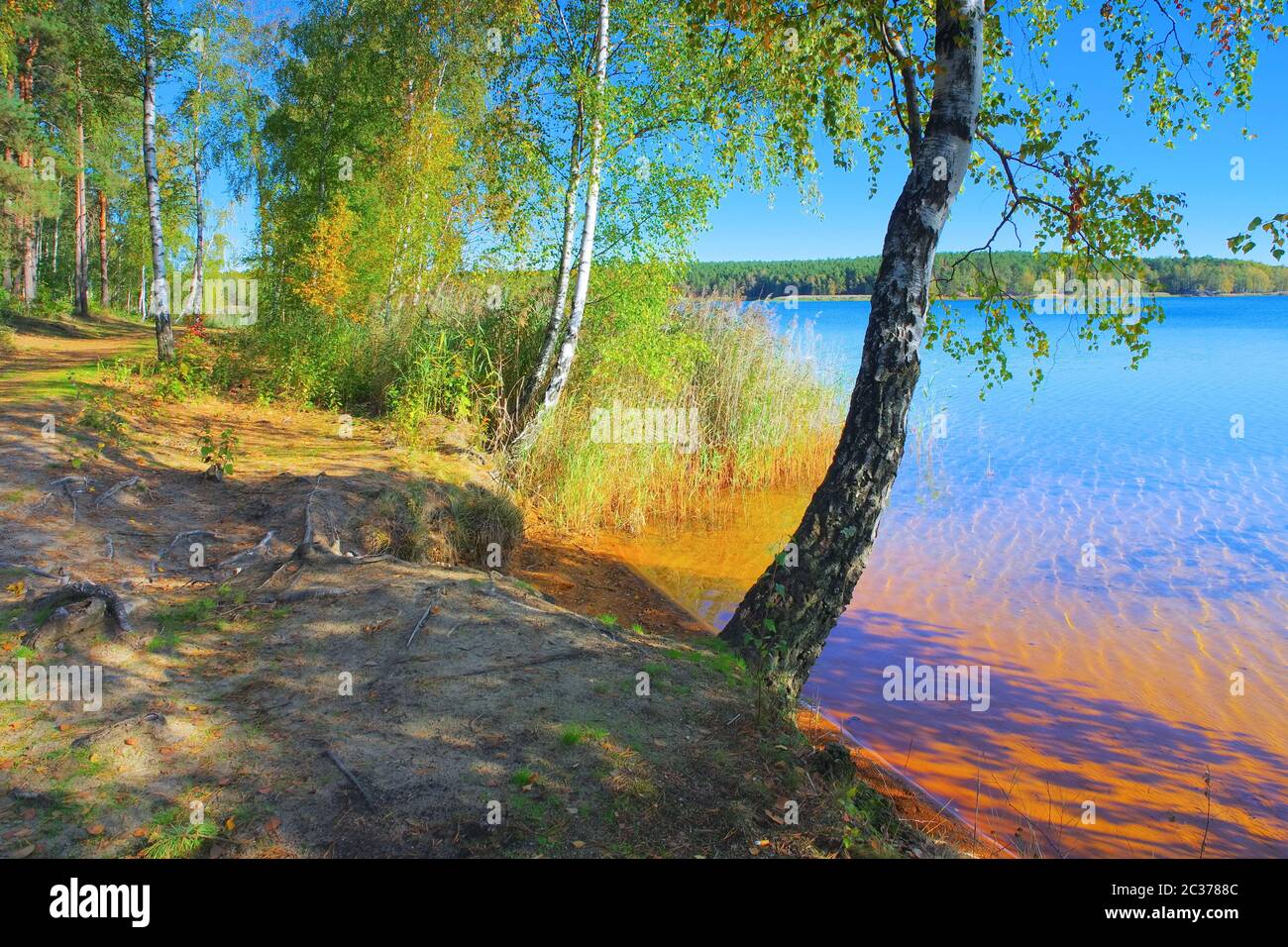 Senftenberg Lake beach, Lusatian Lake District Stock Photo - Alamy