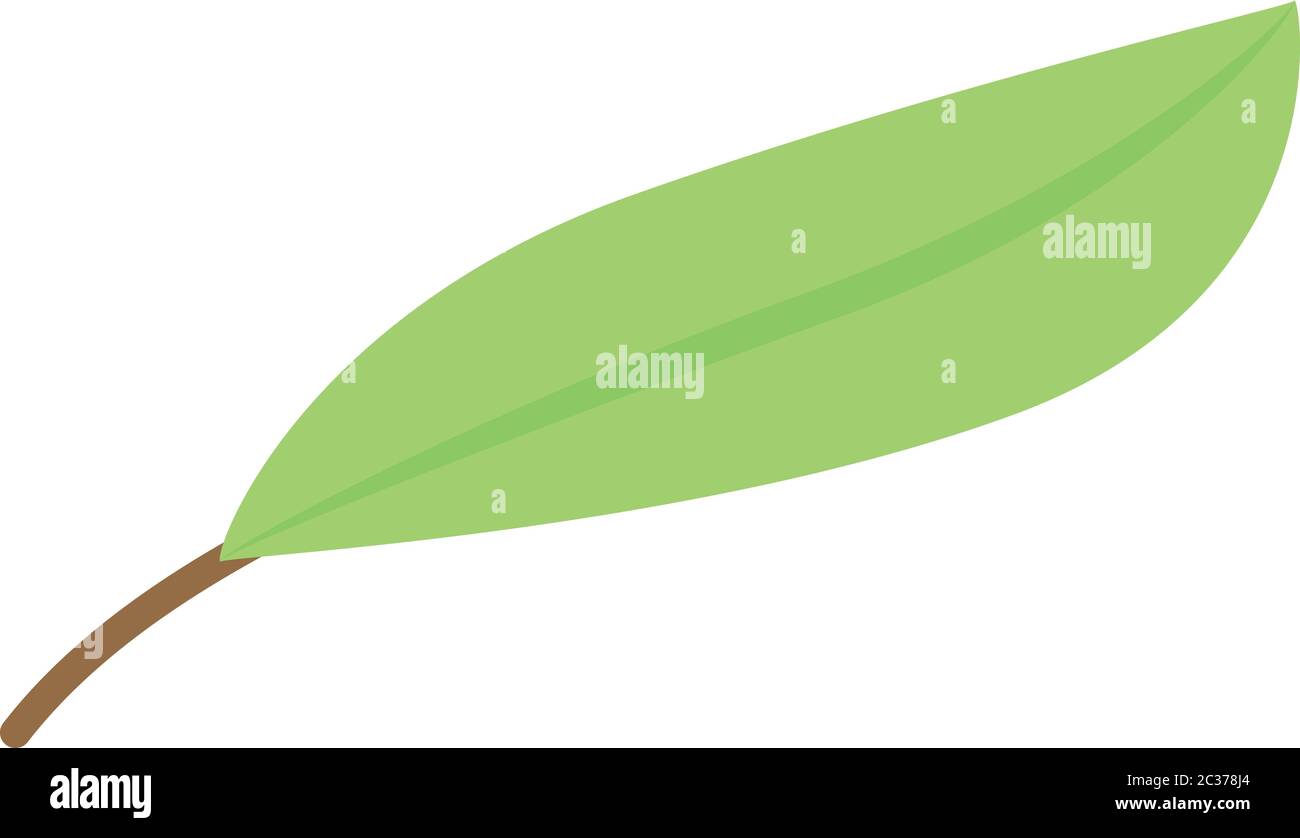 Olive tree leaf icon, isometric style Stock Vector Image & Art - Alamy Olive tree leaf icon, isometric style Stock Vector Image & Art - Alamy