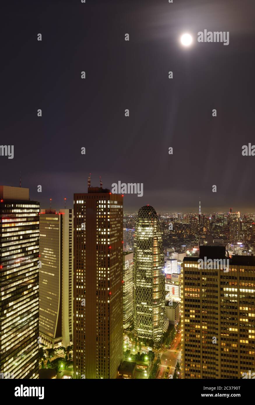 Night-time panoramic view from the Tokyo Metropolitan Government ...