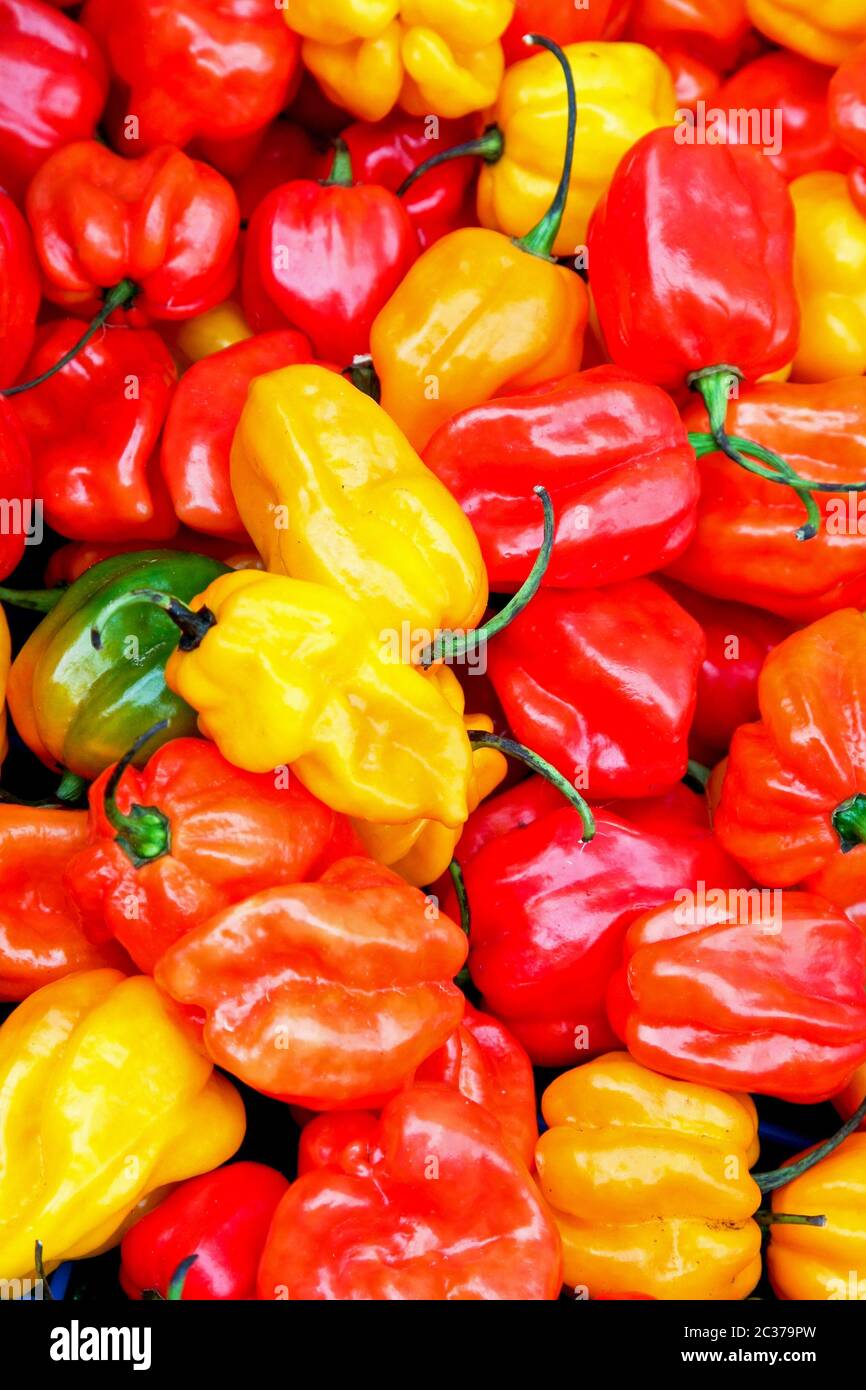 Colorful hot chilli peppers on the market Stock Photo - Alamy