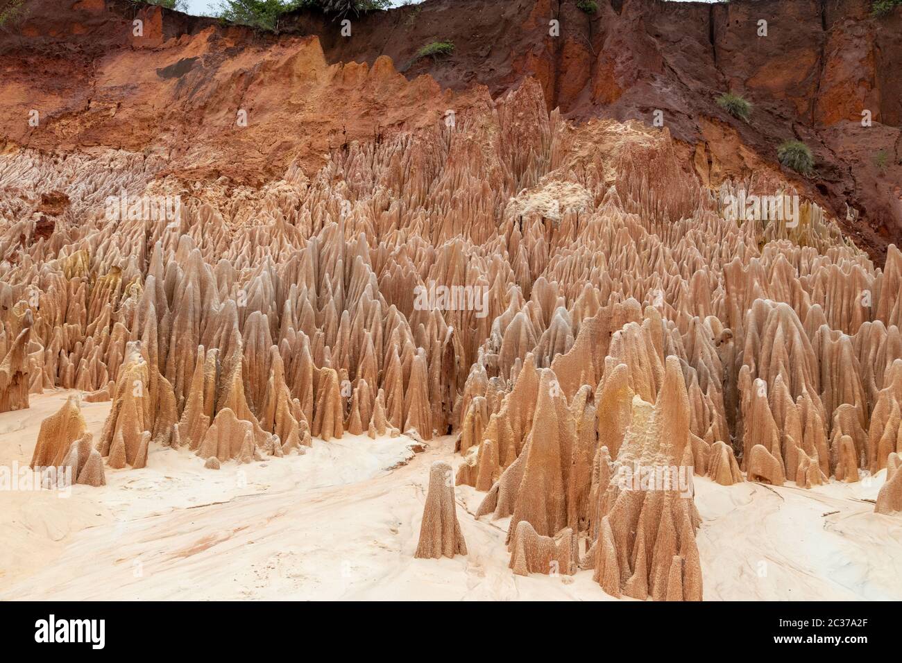 Tsingy rouge, madagascar hi-res stock photography and images - Alamy
