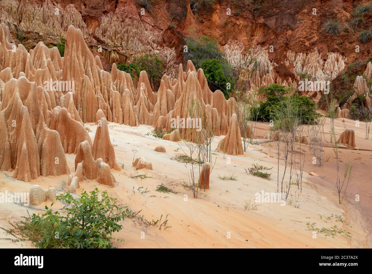 Tsingy rouge, madagascar hi-res stock photography and images - Alamy