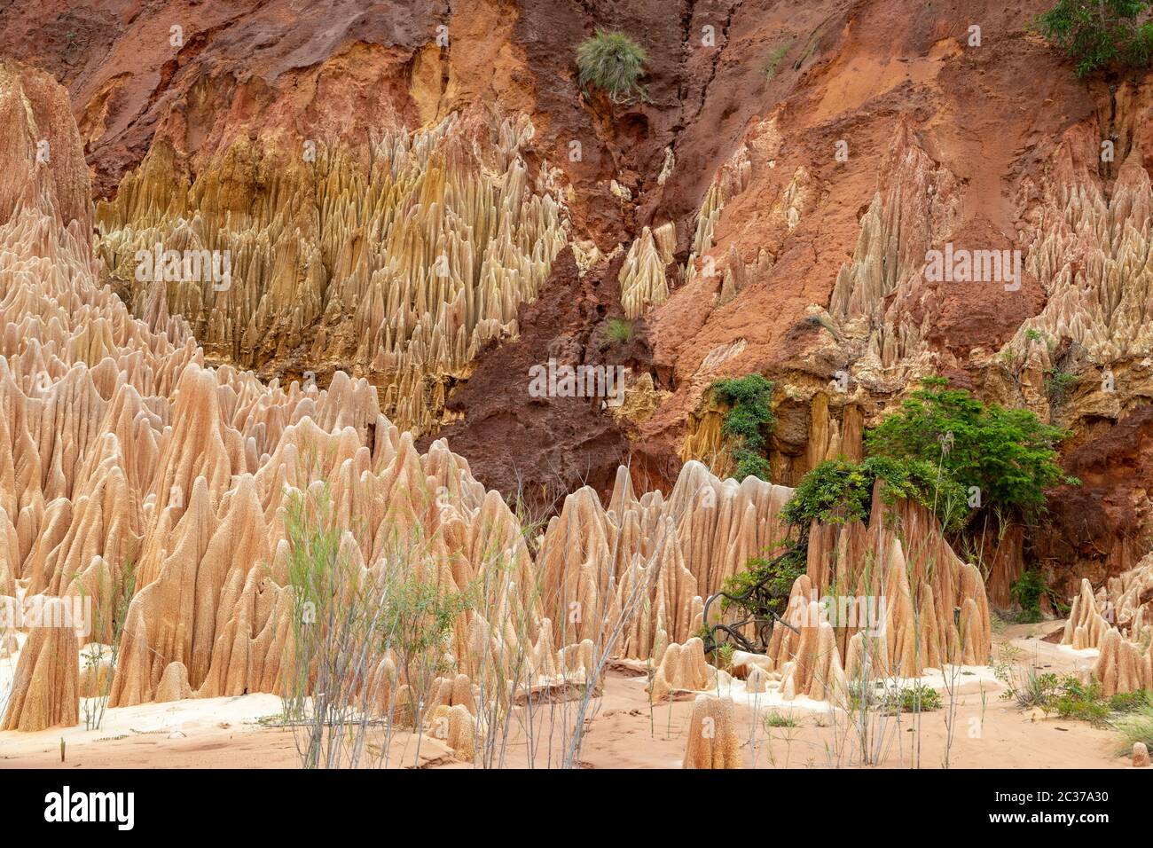 Red sandstone formations and needles (Tsingys) in Tsingy Rouge Park in ...