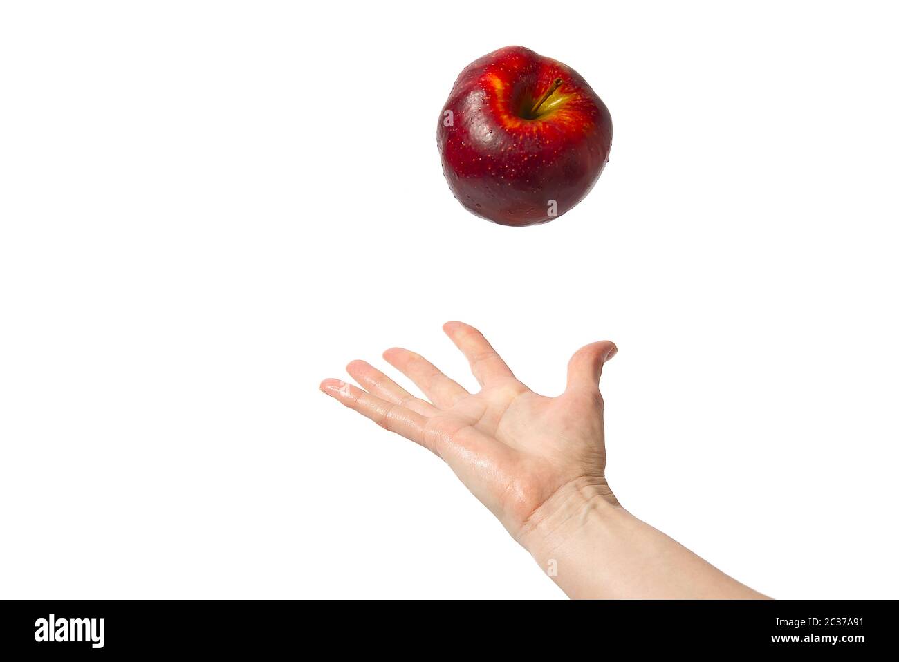 Hand young man eating Cut Out Stock Images & Pictures - Alamy