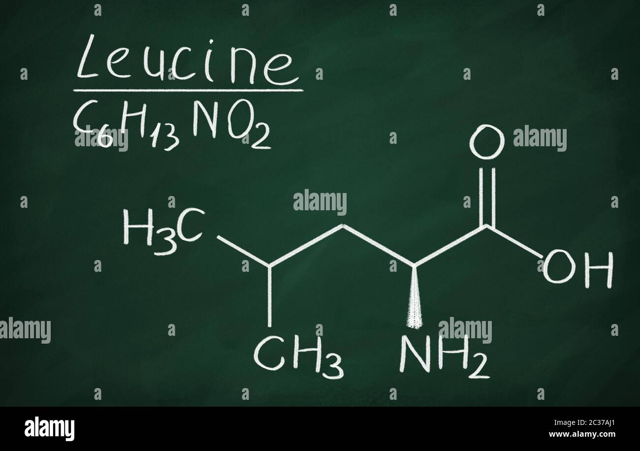 Leucine hi-res stock photography and images - Alamy