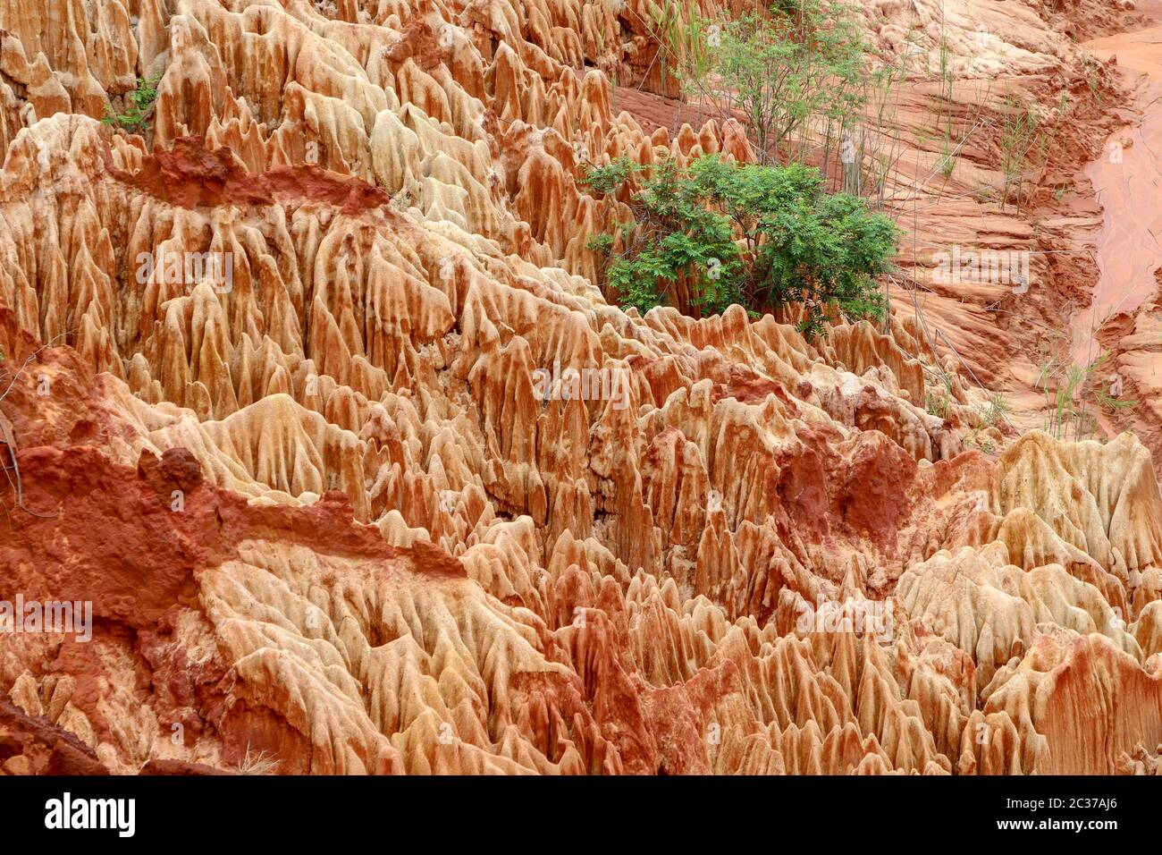 Red sandstone formations and needles (Tsingys) in Tsingy Rouge Park in ...