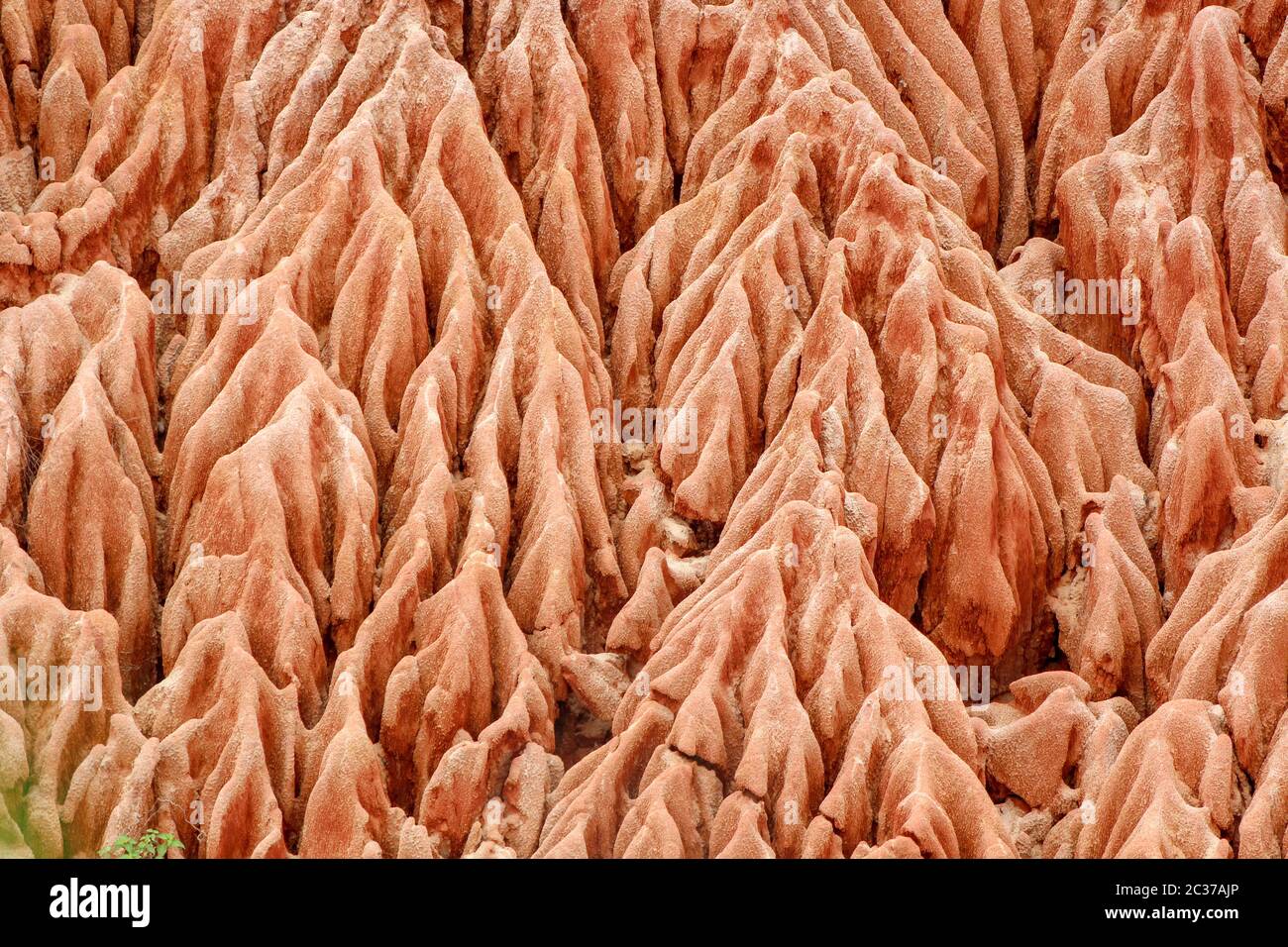 Red sandstone formations and needles (Tsingys) in Tsingy Rouge Park in ...