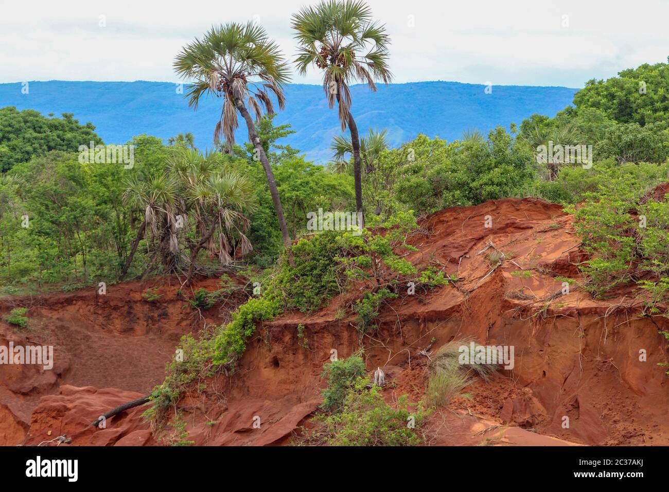 Red sandstone formations and needles (Tsingys) in Tsingy Rouge Park in ...