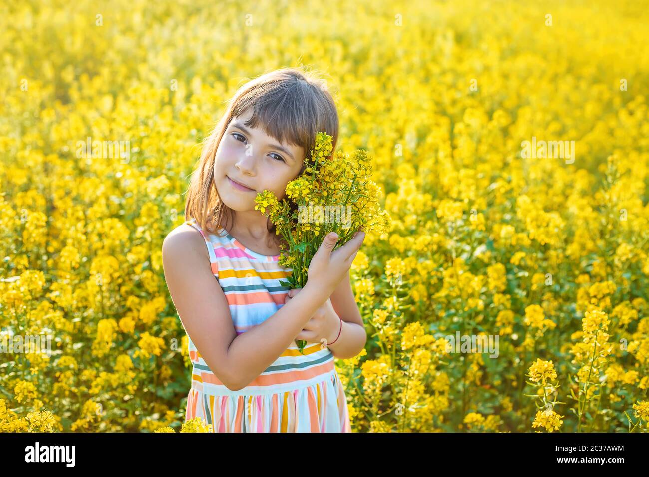 A child in a yellow field, mustard blooms. Selective focus Stock Photo ...