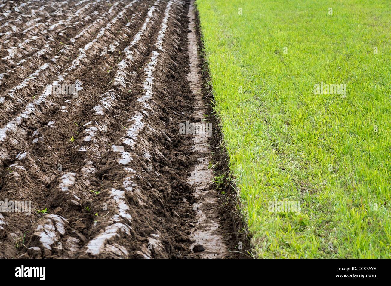Rural landscape - half field plowed. Grass and earth Stock Photo - Alamy