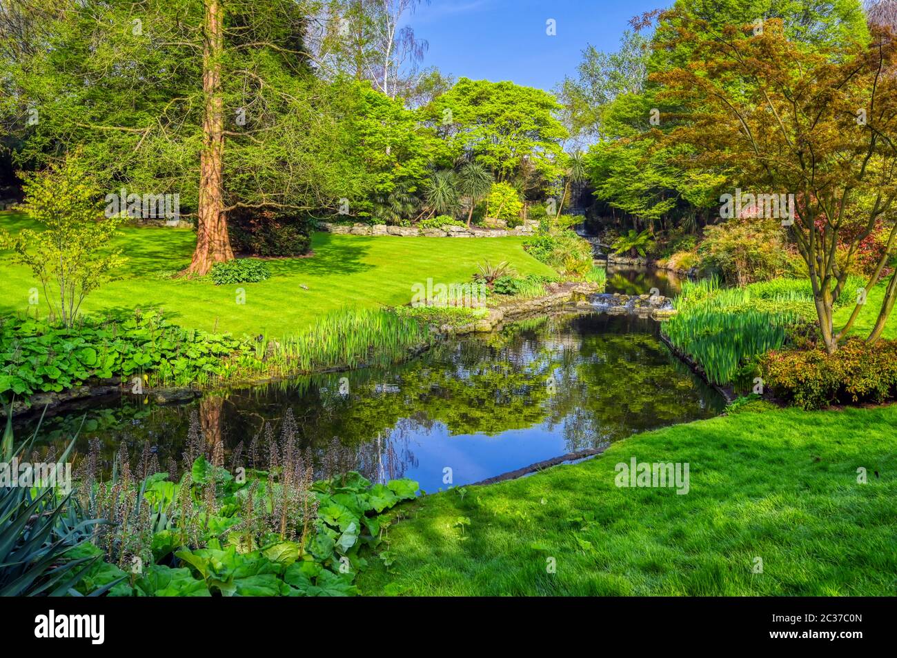 Spring in Hyde Park located in Central London, UK Stock Photo - Alamy