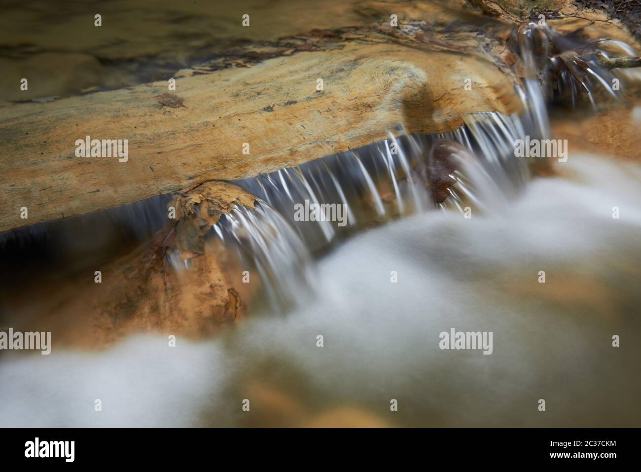 Beautiful waterfall in the forest of national park Stock Photo - Alamy