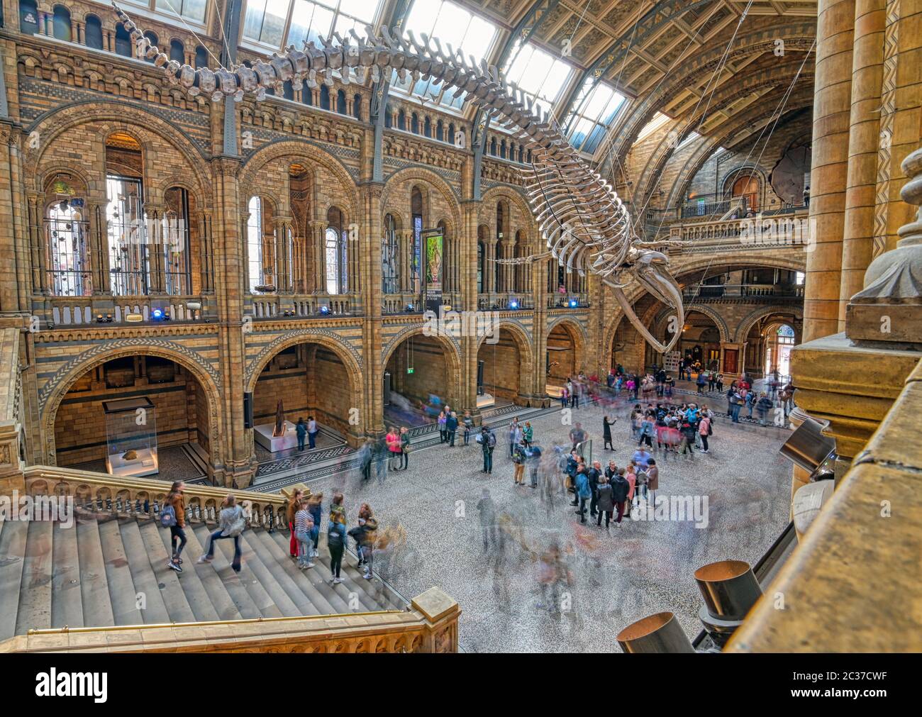 Natural history museum london interior hi-res stock photography and ...