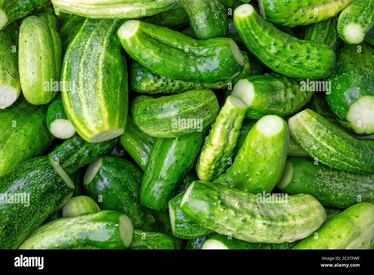 Natural background of the green cucumbers Stock Photo - Alamy