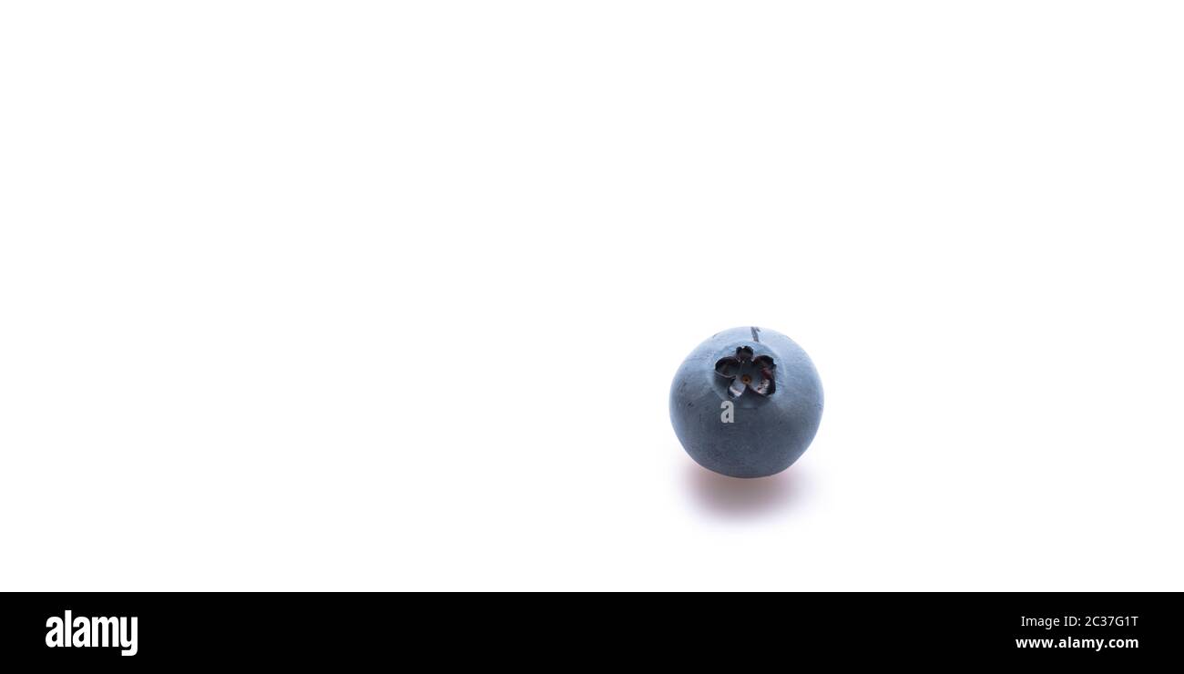 Single Blueberry fruit white isolated Stock Photo - Alamy
