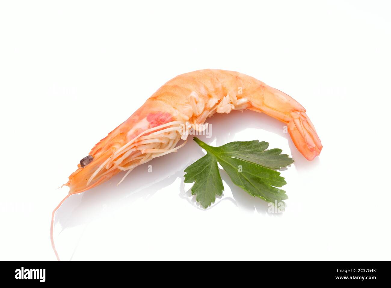 Crevettes hi-res stock photography and images - Alamy