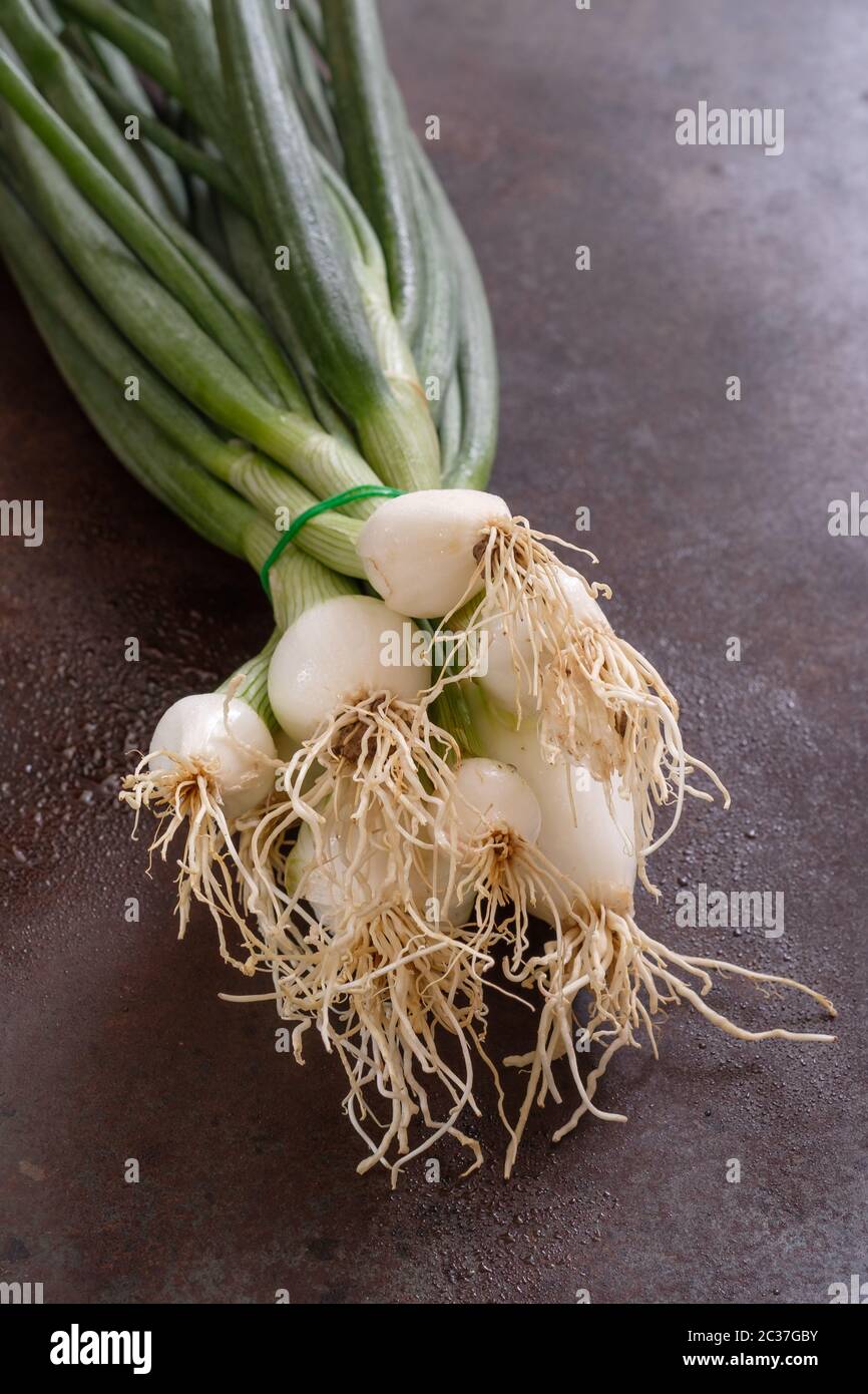 Bunch scallions with water in vertical format Stock Photo - Alamy