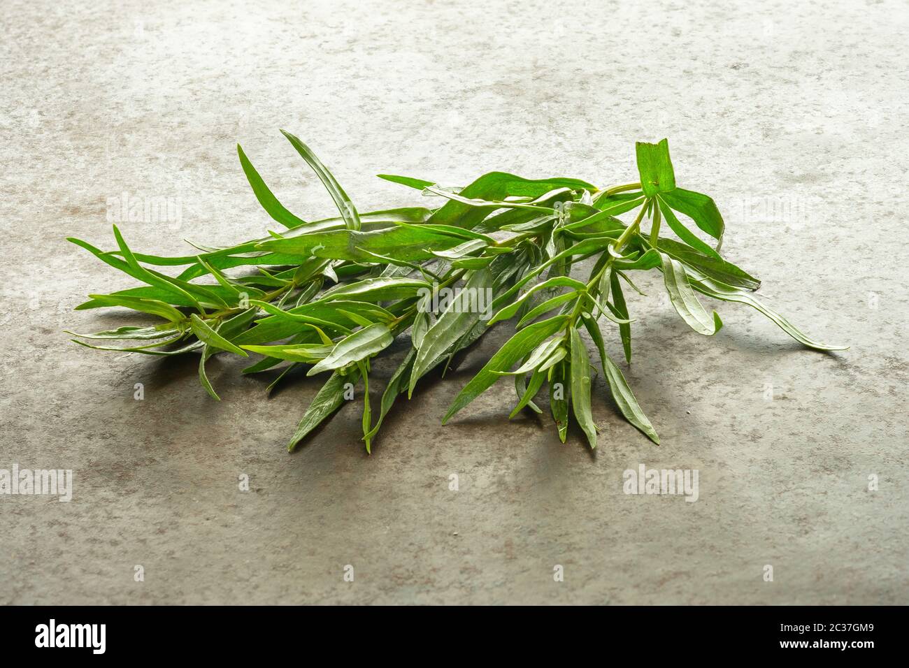 Fresh tarragon branch herb hi-res stock photography and images - Alamy