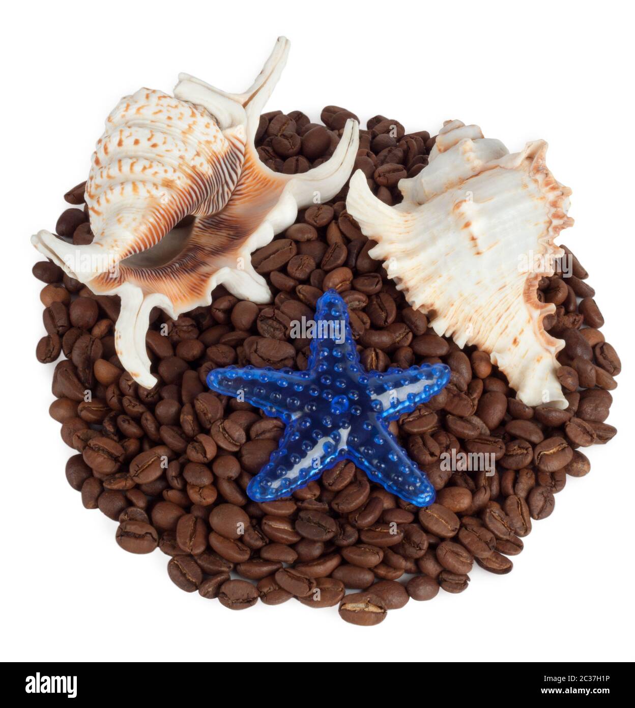 starfish and shells on the coffee beans Stock Photo - Alamy