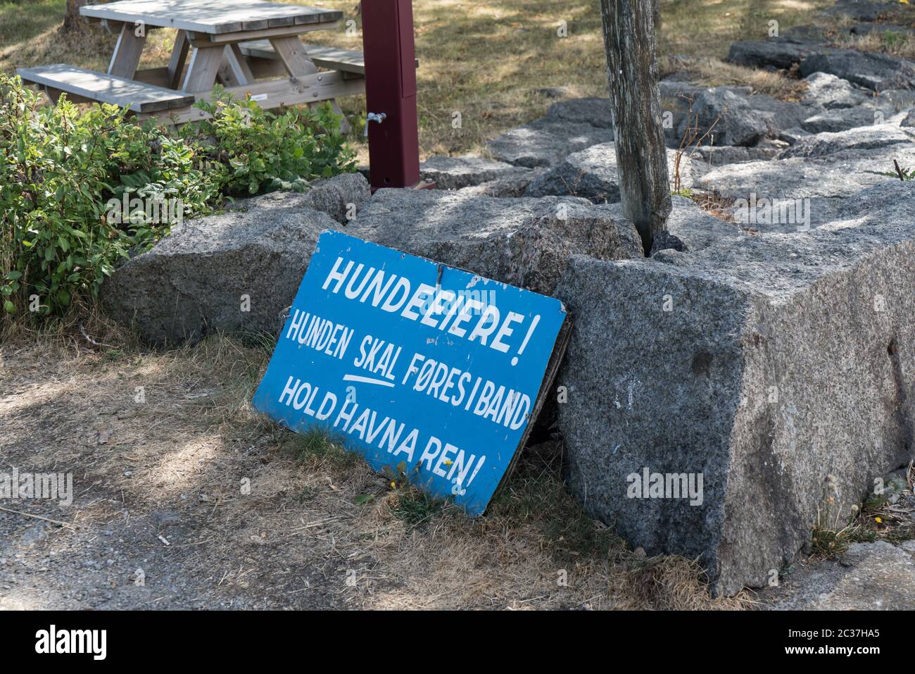 Sign due to dog faeces Stock Photo - Alamy