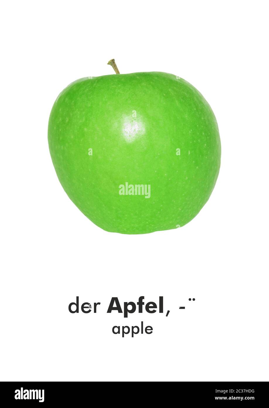 German food word card: der Apfel (apple Stock Photo - Alamy