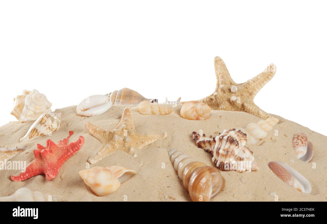 Starfish and seashells on the beach isolated on white background Stock ...