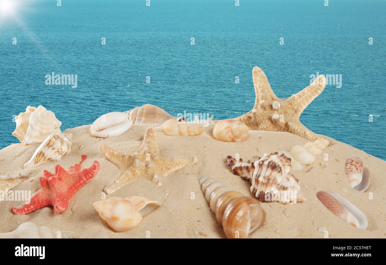 Starfish and seashells on the sandy beach on sea background Stock Photo ...