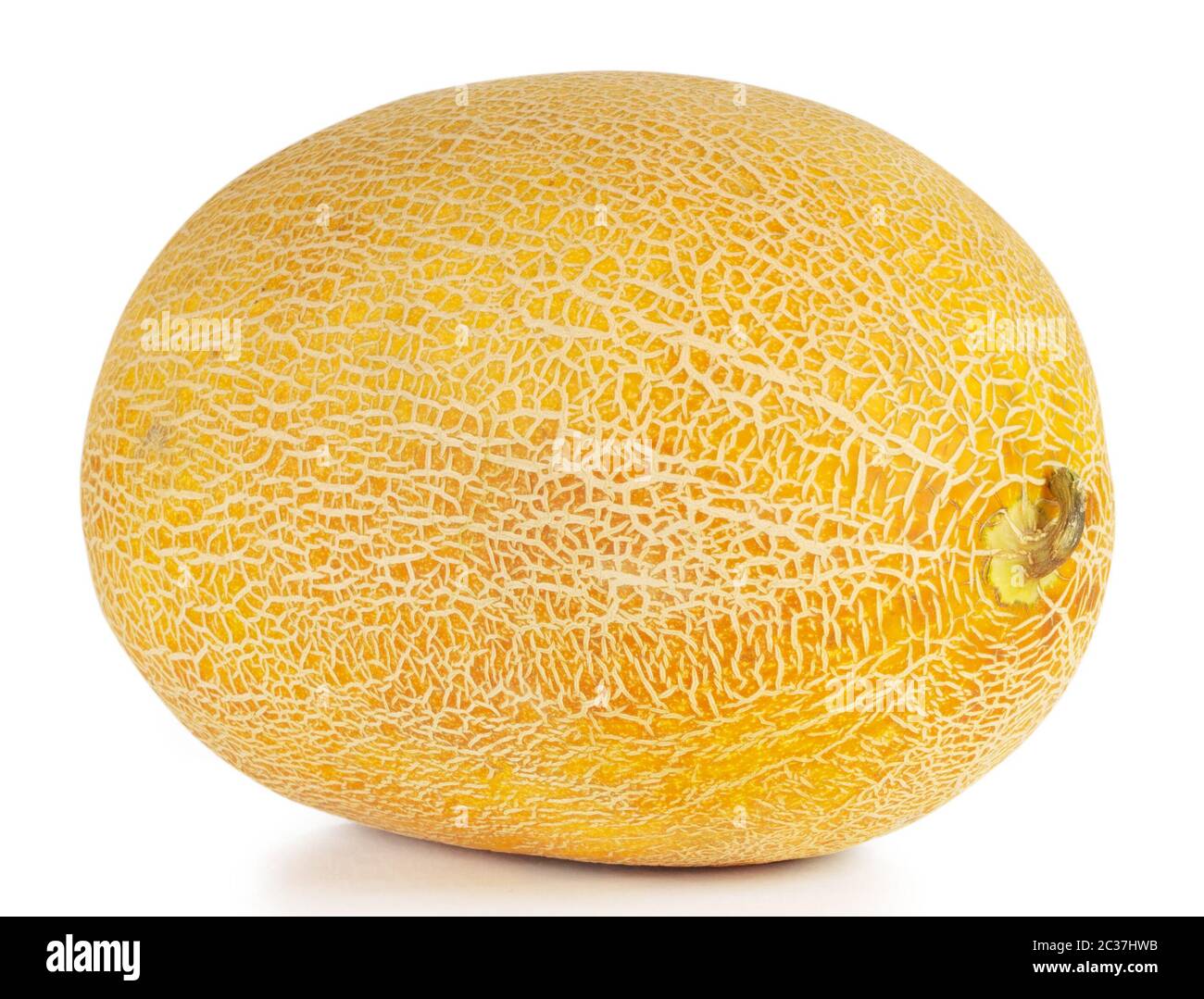 Sweet ripe yellow oval melon isolated on white background Stock Photo ...