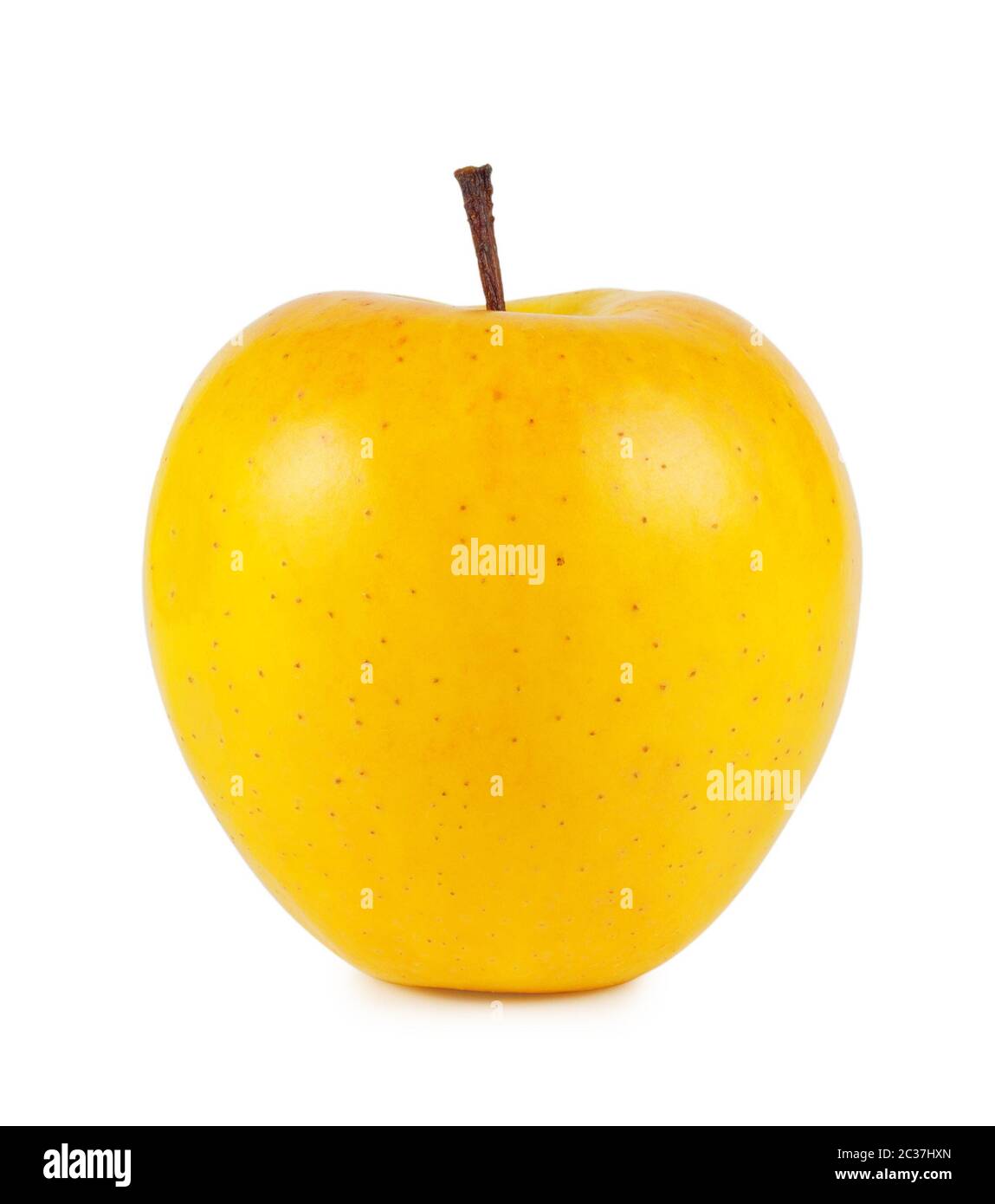 Yellow ripe apple isolated on white background Stock Photo - Alamy
